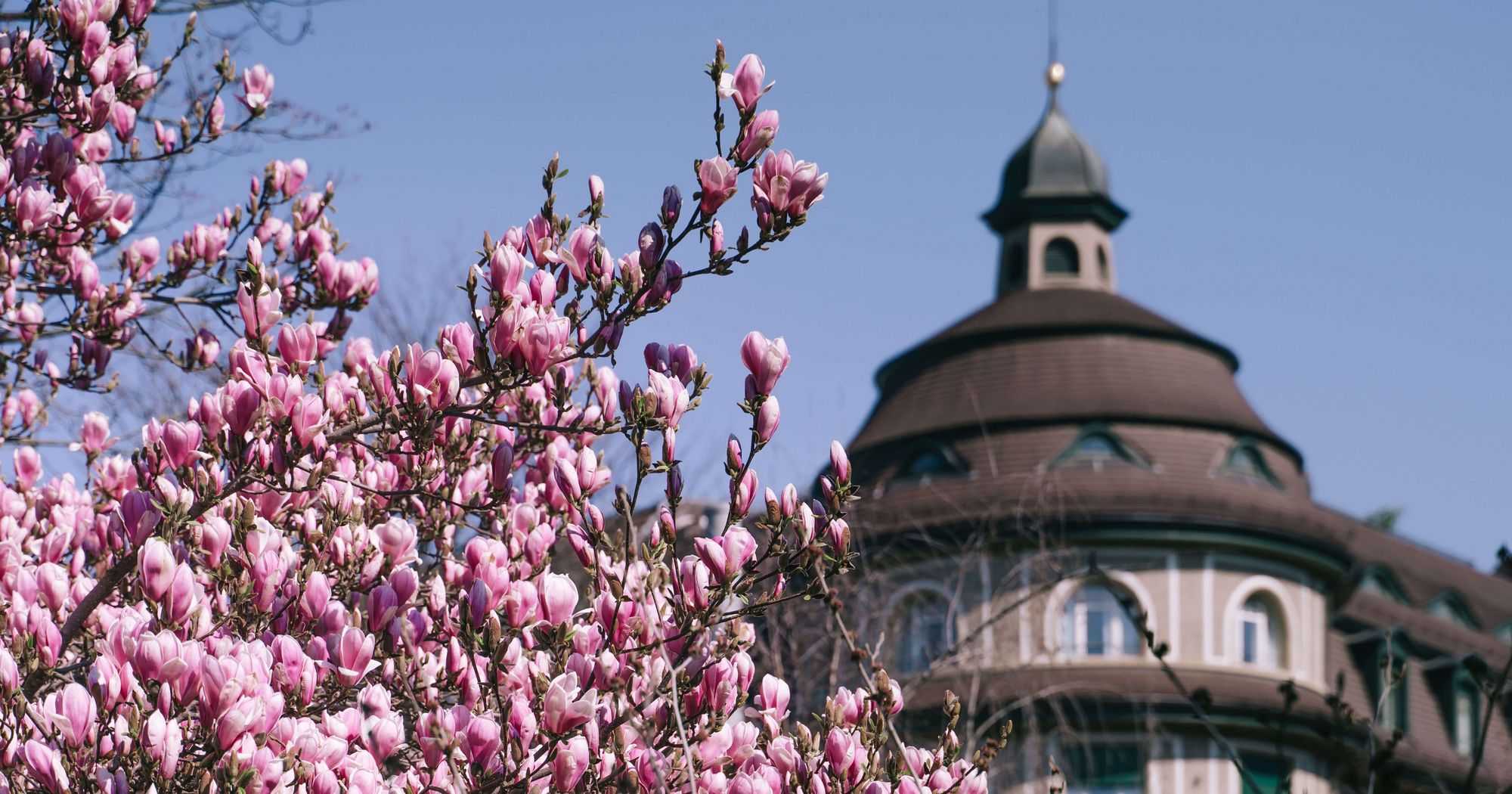 Easter in Lucerne | Excursions