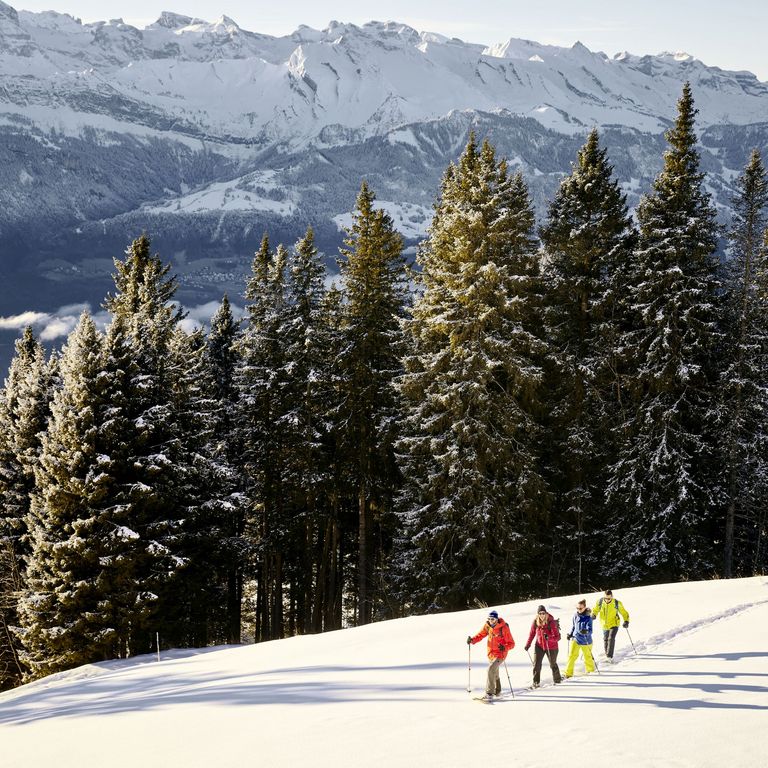 Snowshoeing & winter hiking in the Lucerne-Lake Lucerne Region | Winter