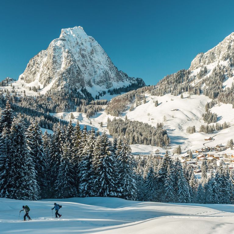 Snowshoeing & winter hiking in the Lucerne-Lake Lucerne Region | Winter