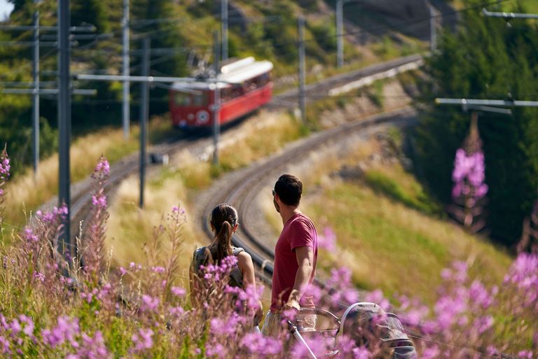 Top Experiences in the Lucerne-Lake Lucerne Region